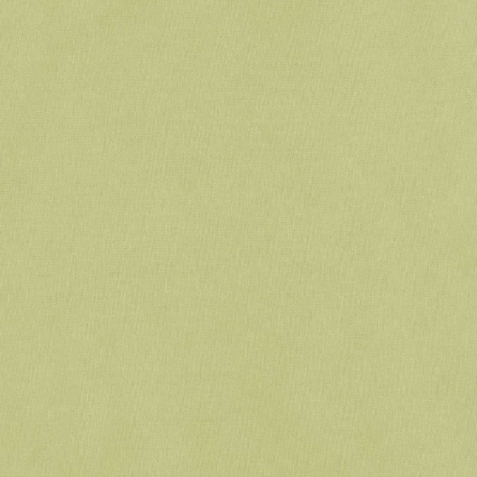 C.Pauli - Popeline fein - mellow green - LottiKlein